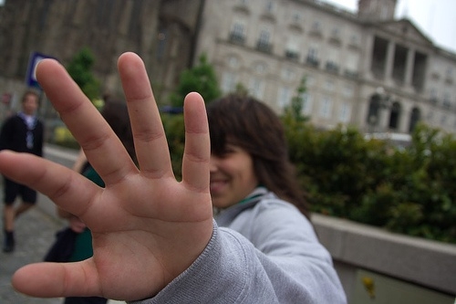 Palm Line Detection Object Detection Dataset And Pre Trained Model By Palm Reading Test