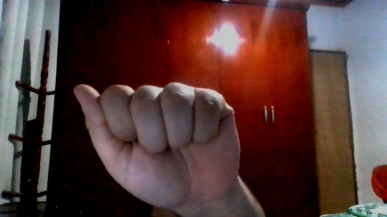 Libras project Object Detection Model by libra project