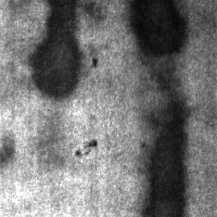 Instance Segmentation Instance Segmentation Dataset and Pre-Trained Model by Defect Project