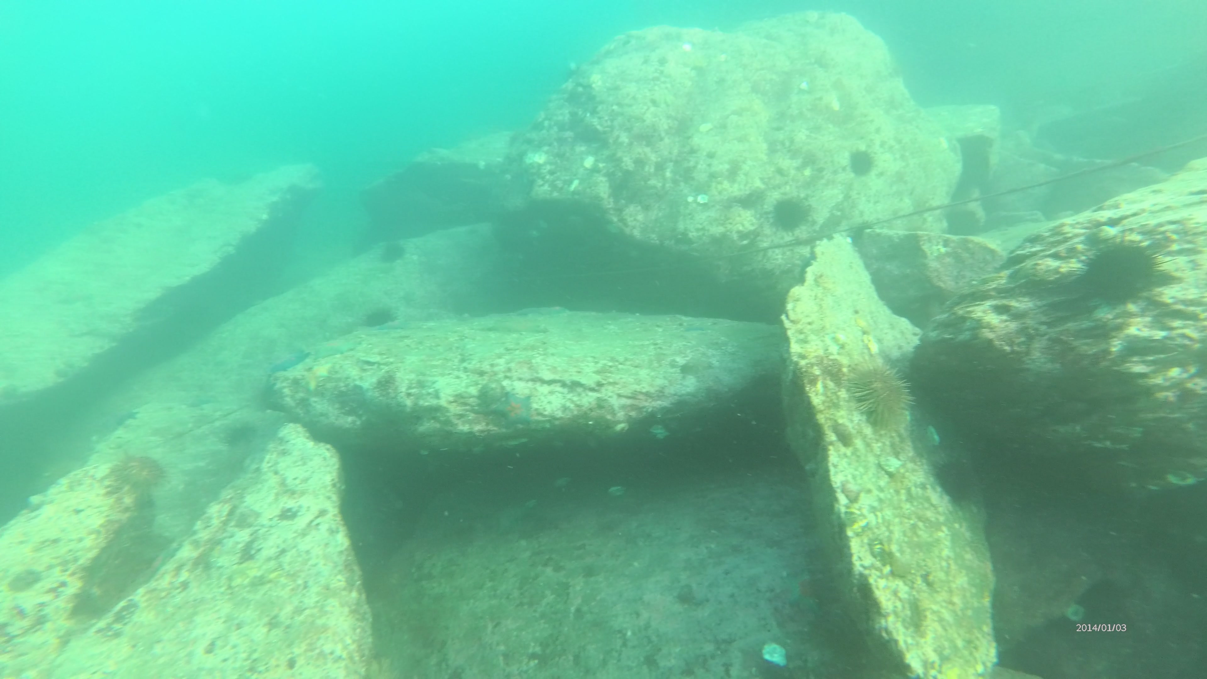 Underwater Object Detection Dataset And Pre Trained Model By Object