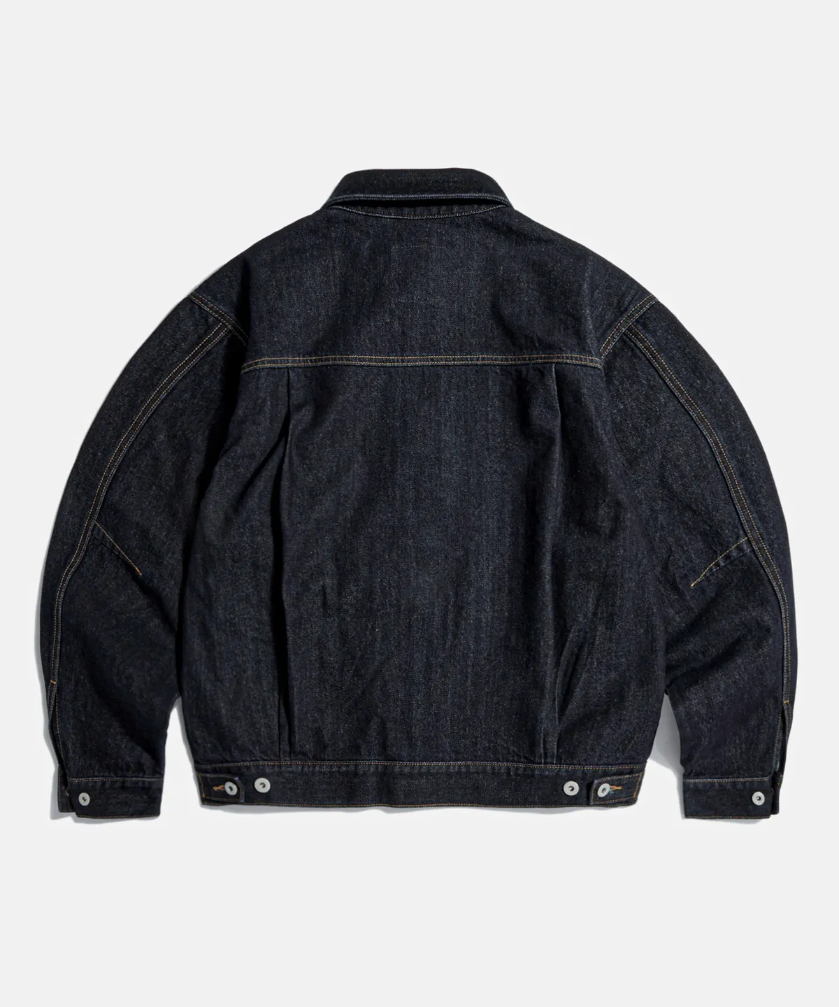 common-all-body-back Instance Segmentation Dataset by stylechain02