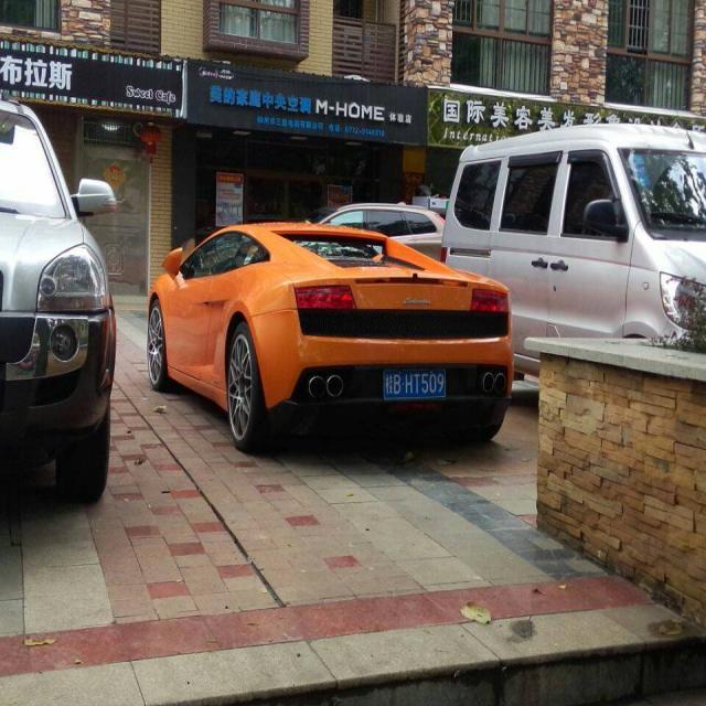 detecter Object Detection Dataset and Pre-Trained Model by wang