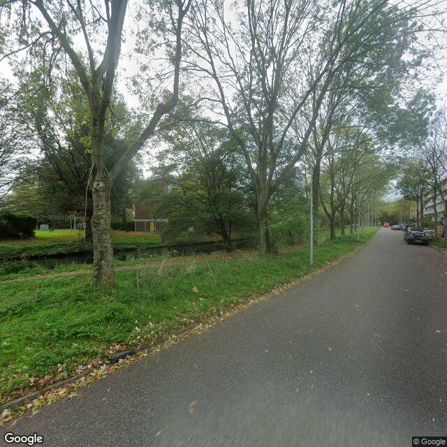 TreeOrNoTree Object Detection Model by MAVLab BeBop