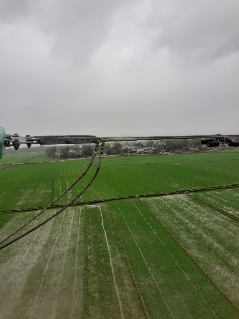 6. DT ta chong rung CT Object Detection Dataset by BDPC AI GD3