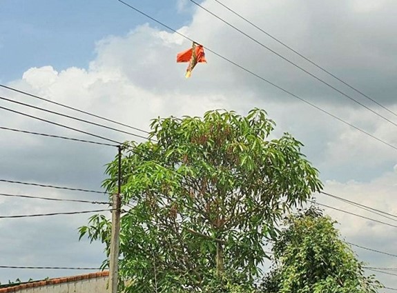 44. TT vat la bam CT Object Detection Dataset by BDPC AI GD3