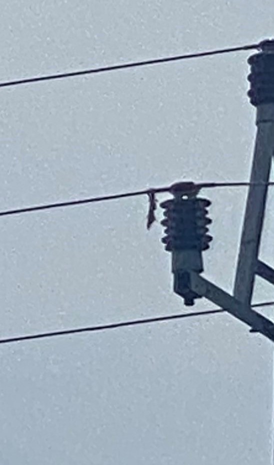 38. TT vat la bam TT Object Detection Dataset by BDPC AI GD3