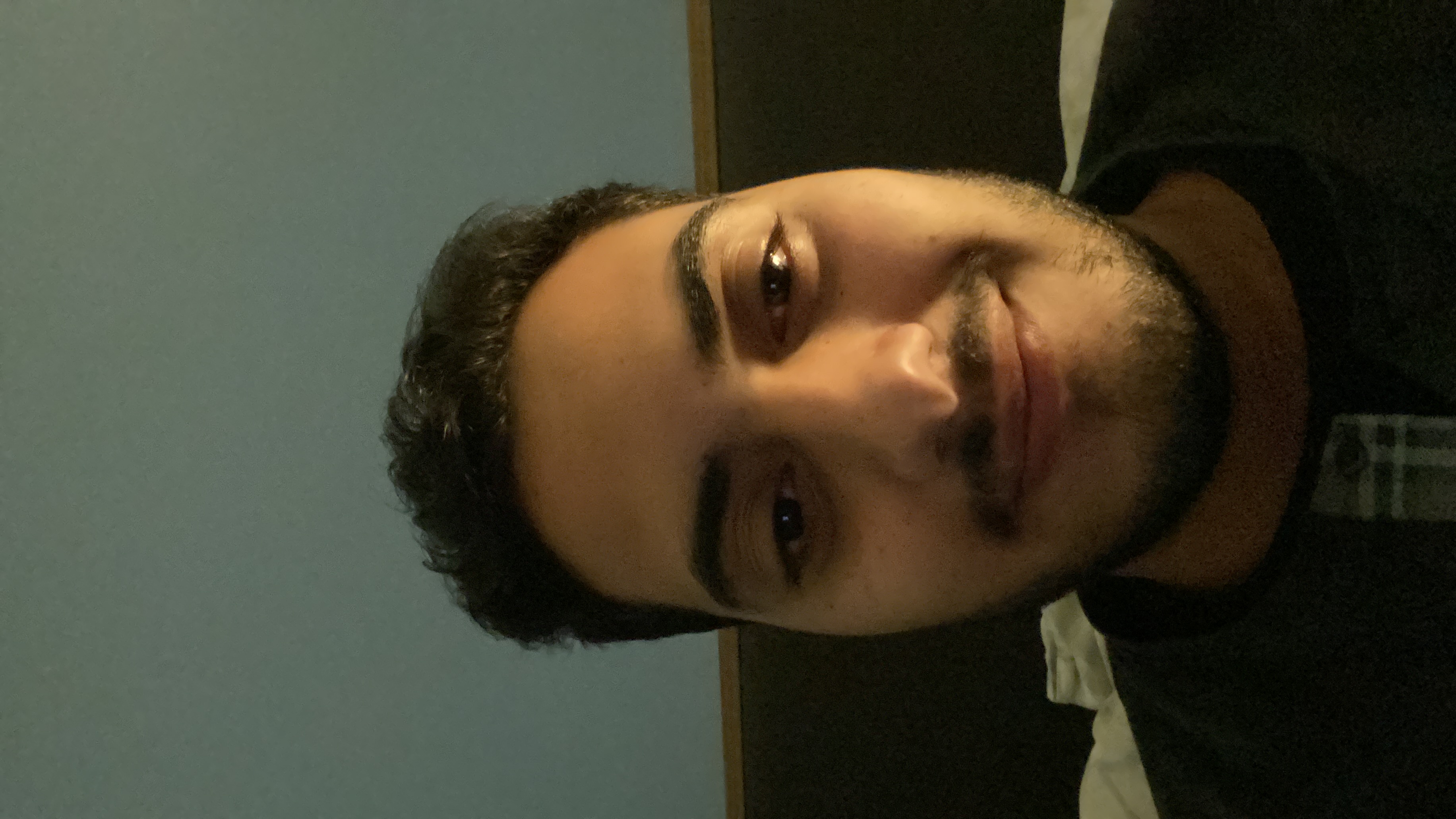 Boudy Instance Segmentation Model by Aris technologies