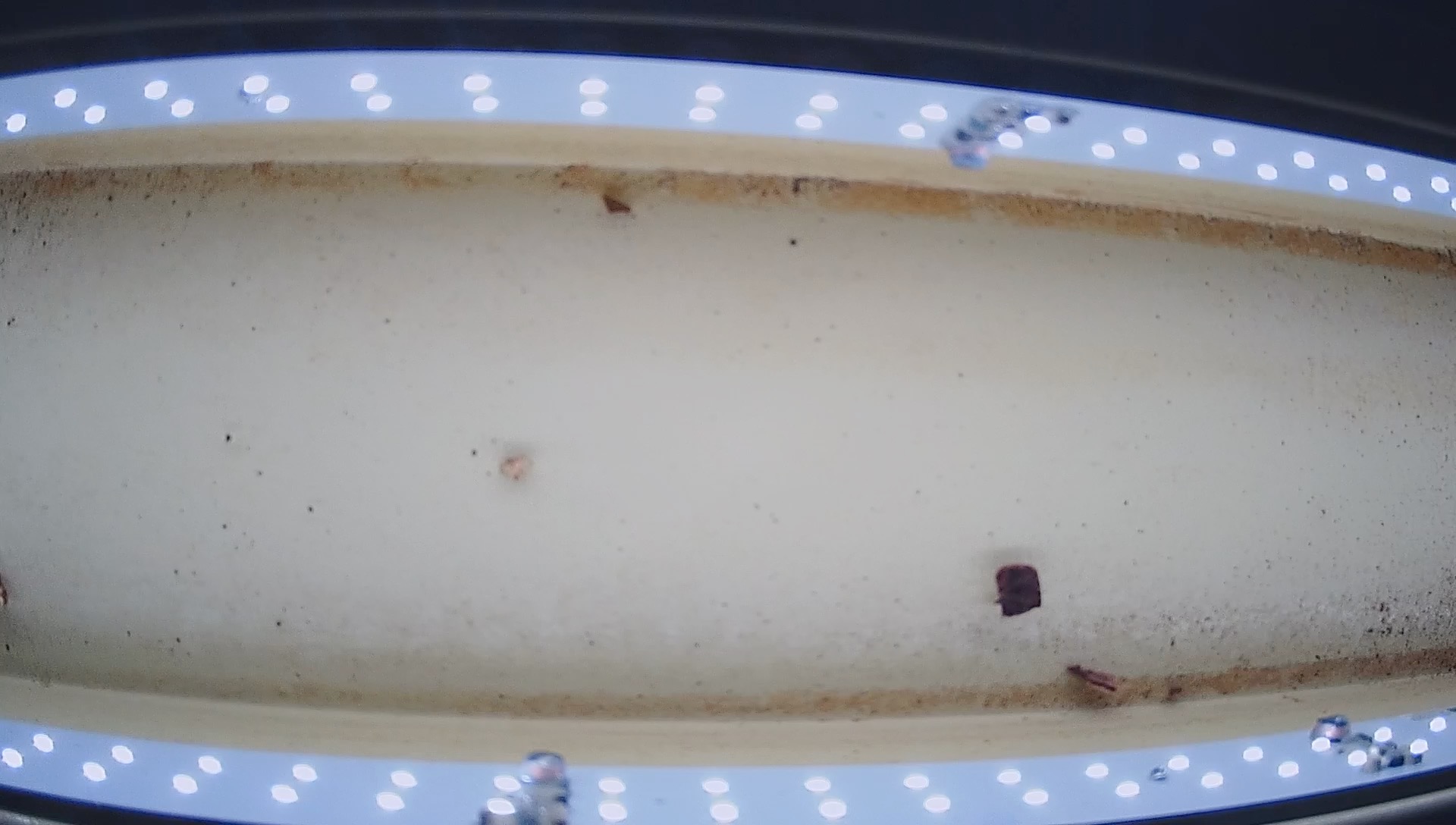 Pecan Crack Object Detection Object Detection Dataset and Pre-Trained ...