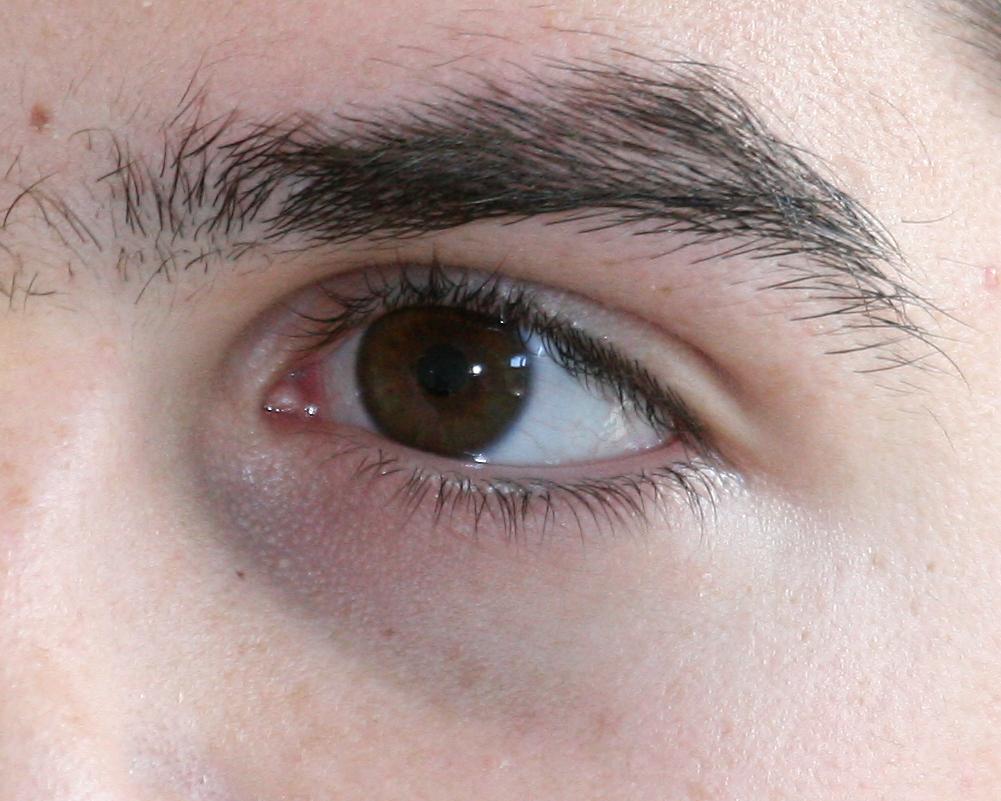 Iris Segmentation Instance Segmentation Dataset And Pre Trained Model By Ml Research