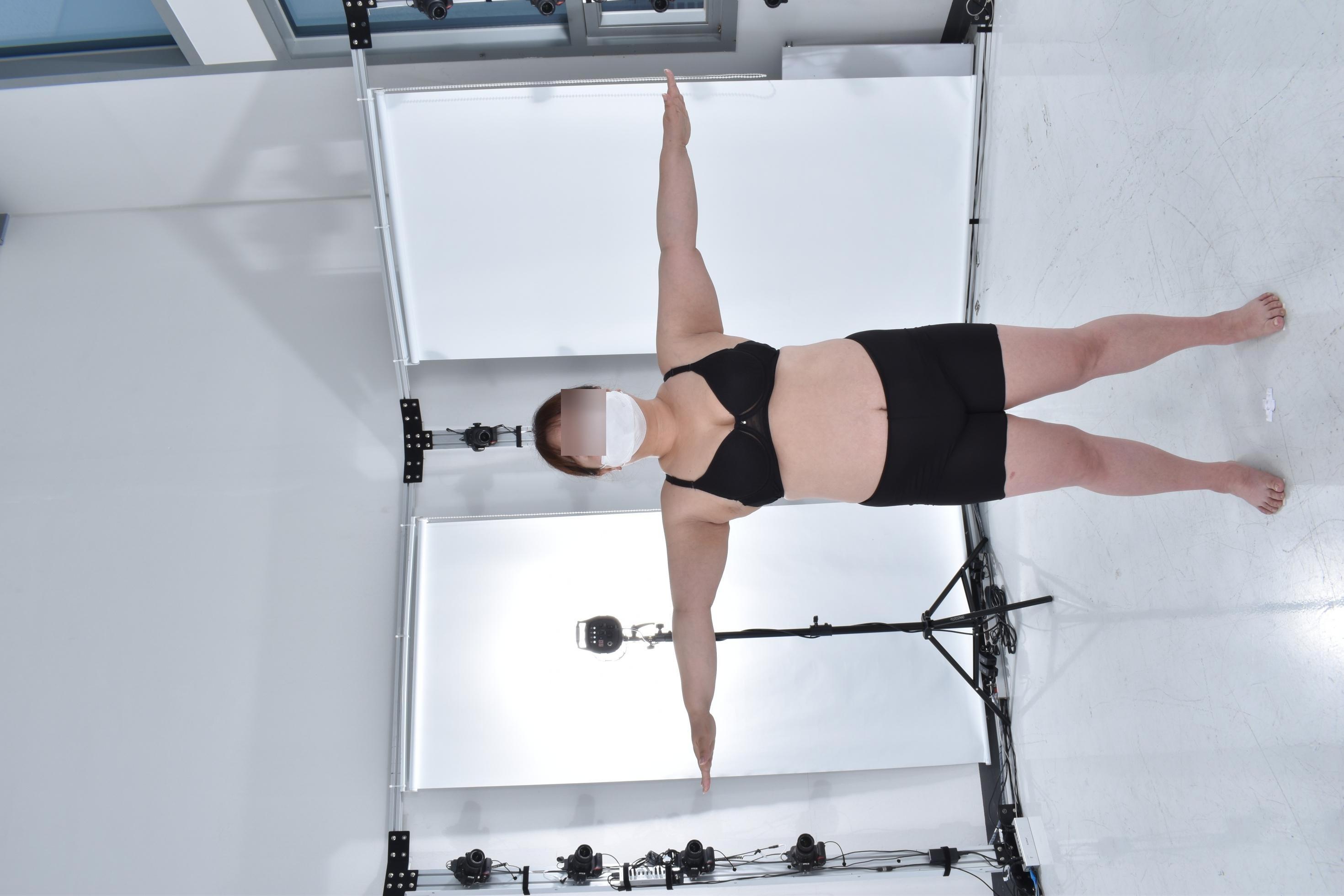 lee Object Detection Dataset and Pre-Trained Model by sioscorial