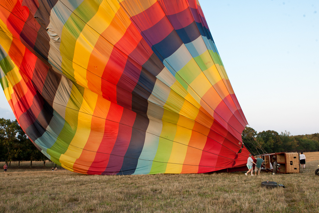 open images v7 Object Detection Dataset by safeskies