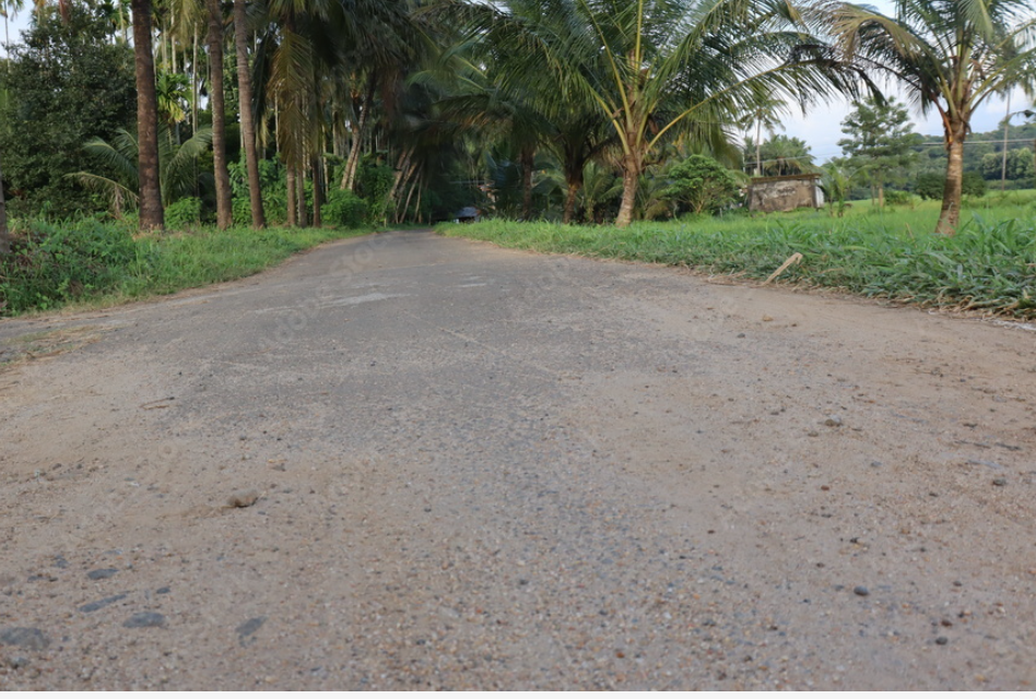 Lane Detection Object Detection Dataset By Indrajit