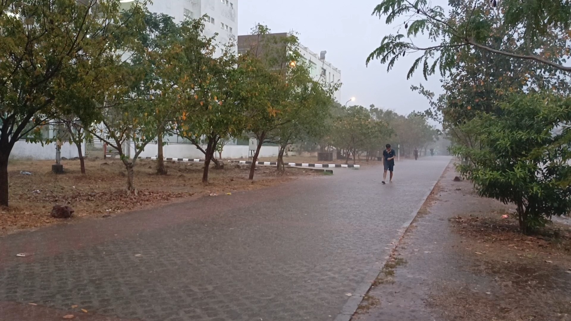Pedestrian Detection Rain 16 Object Detection Dataset By Pedestrian