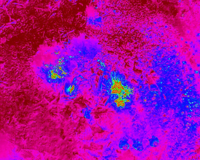 fire-th Instance Segmentation Dataset by SASAS