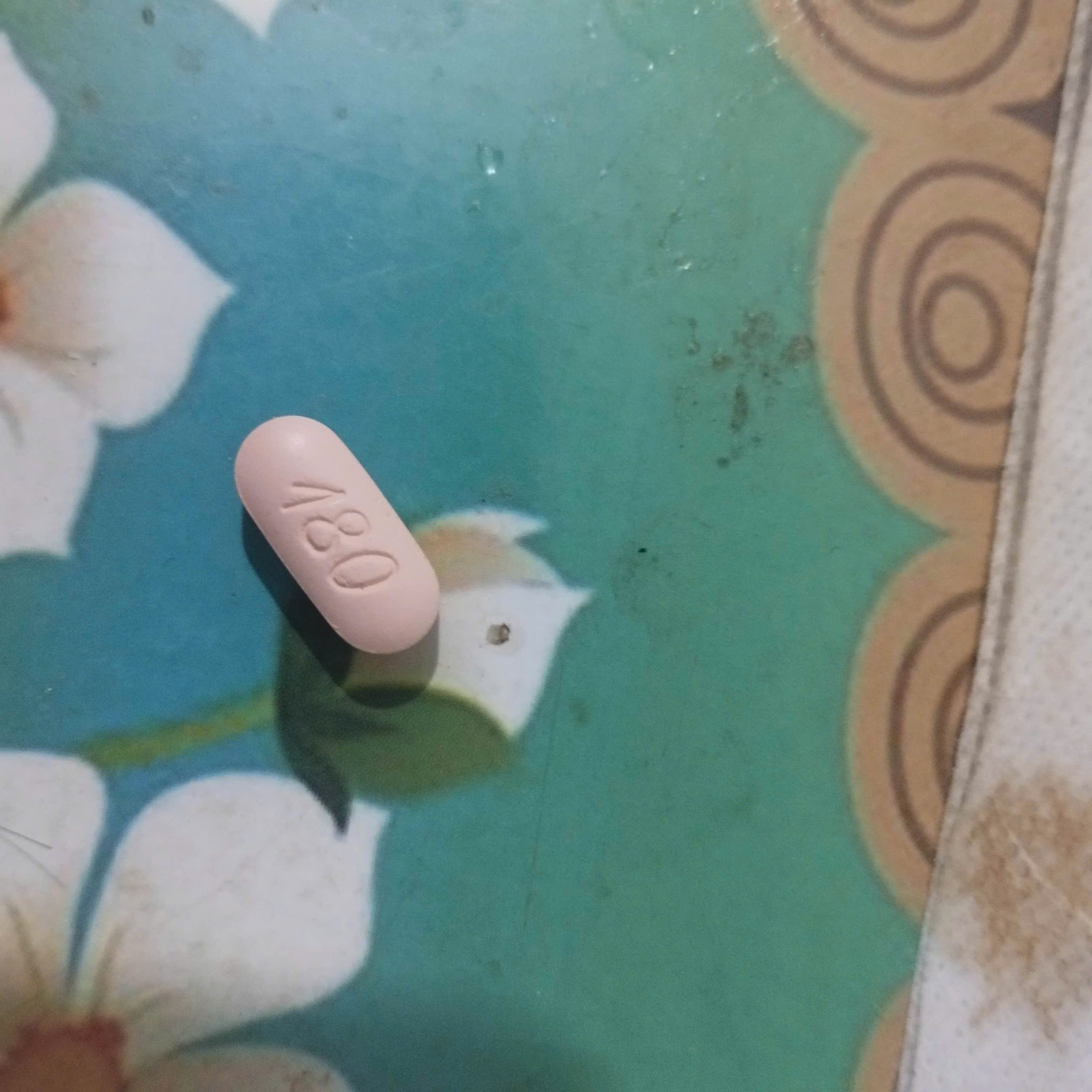 pill Object Detection Model by RobPear