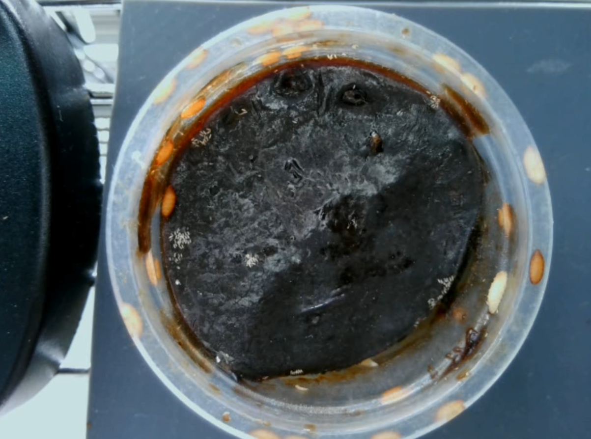 Lab (lab-t7utv) - Roboflow Universe