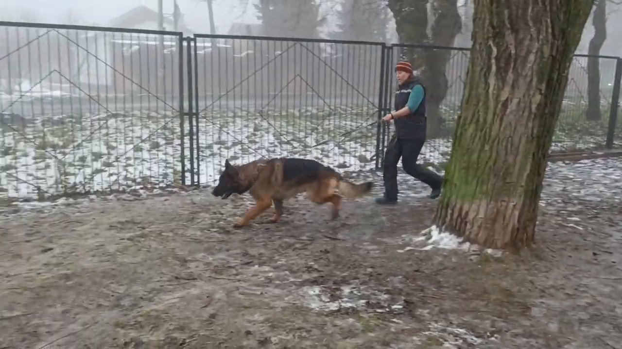 vmo31 innopolis - Roboflow Universe