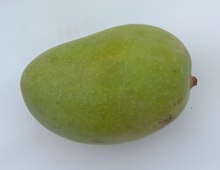 Mango Classifier Object Detection Dataset And Pre Trained Model By Mangominiprojectsem5