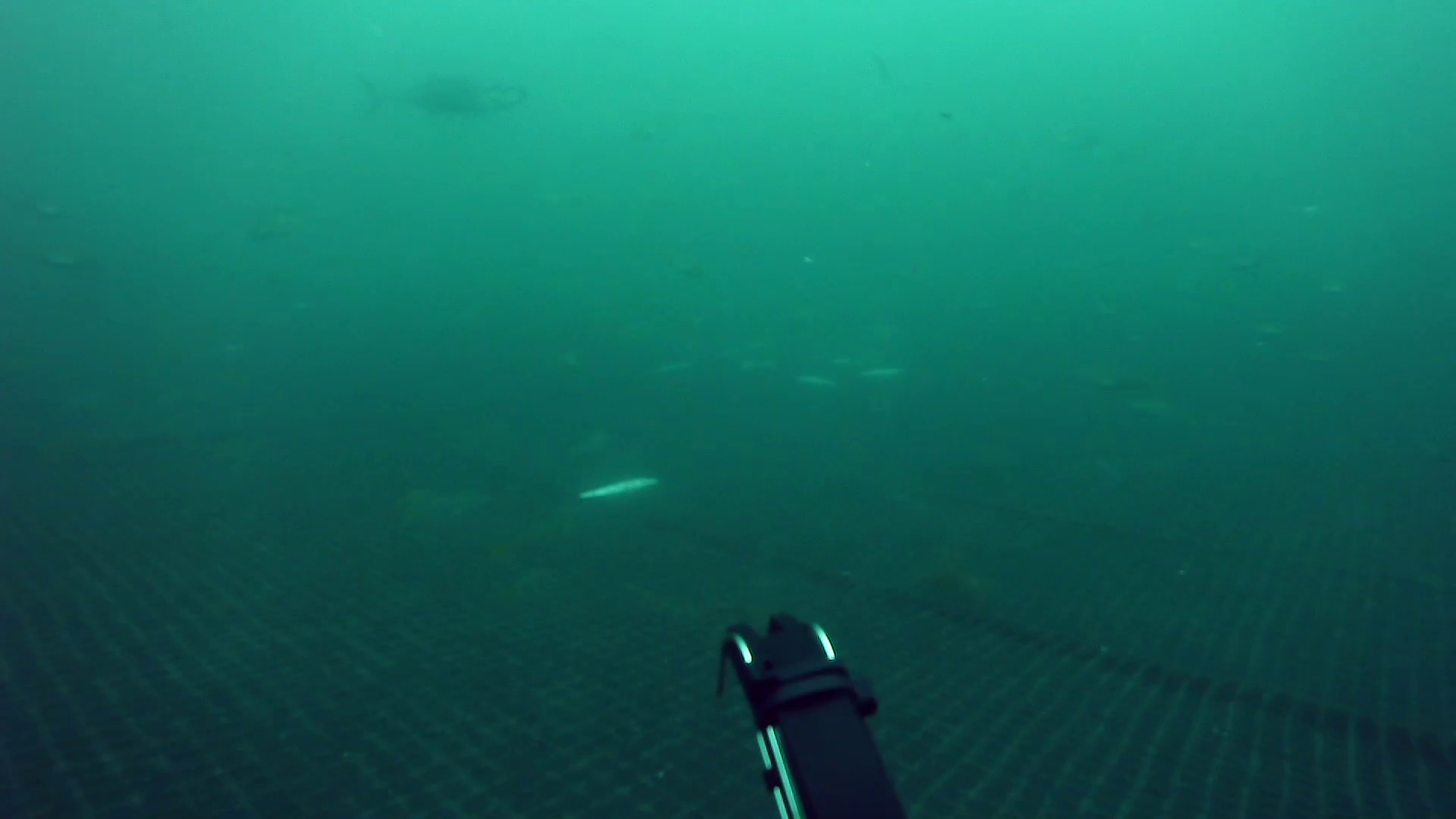 11 Object Detection Dataset by mort detection