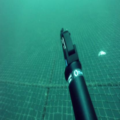 8check Object Detection Dataset by mort detection