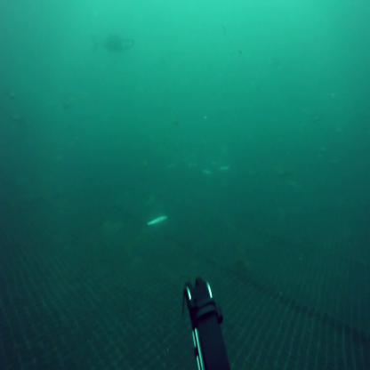 11check Object Detection Dataset by mort detection