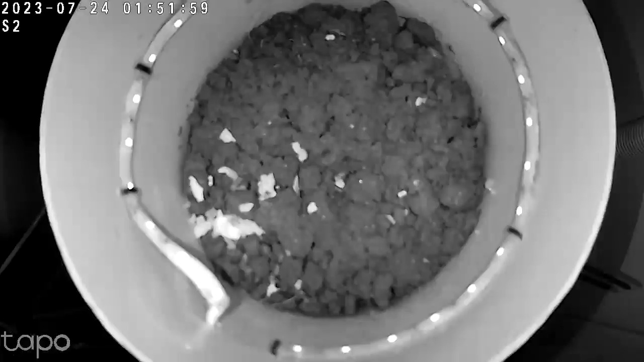 worm Object Detection Dataset by exeter