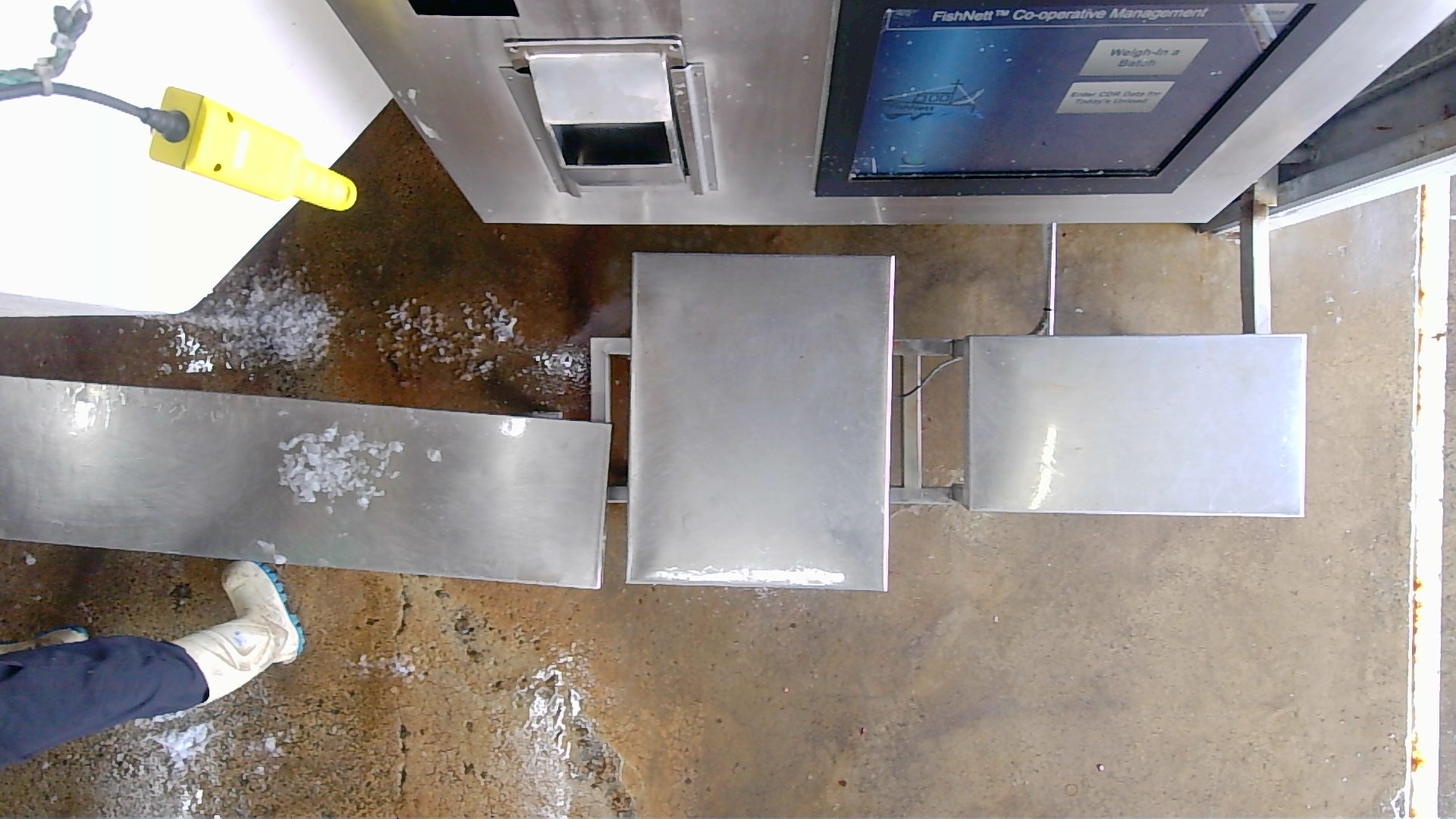 finsbox Object Detection Dataset by fins