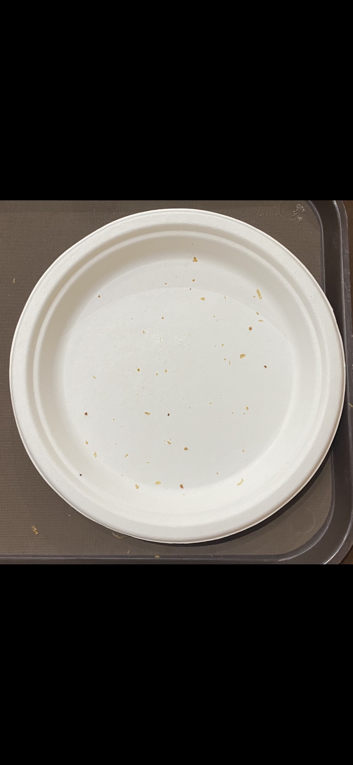 Thesis 2 Object Detection Model by Alimentaspill