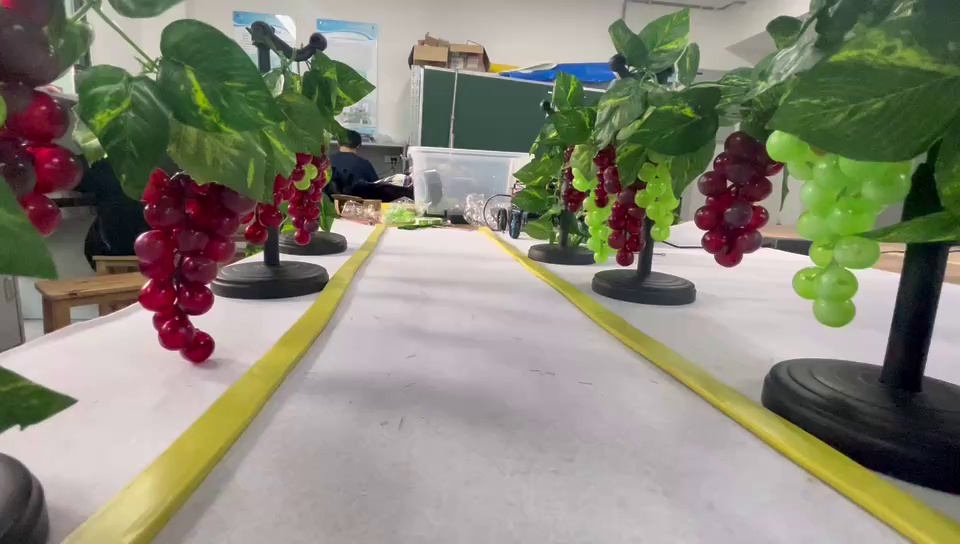 grape_more_img_detect Object Detection Model by school