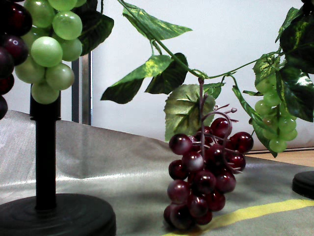 grape_0714 Object Detection Dataset by school