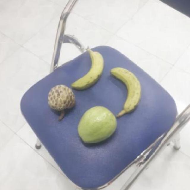 fruit detector Object Detection Dataset and Pre-Trained Model by ...