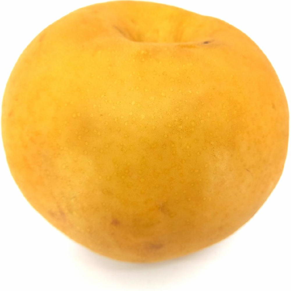 Pear Size Object Detection Dataset And Pre Trained Model By Jini