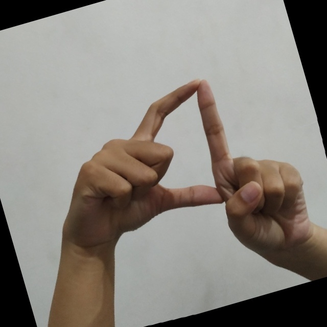 How to Use the hand pose Object Detection API