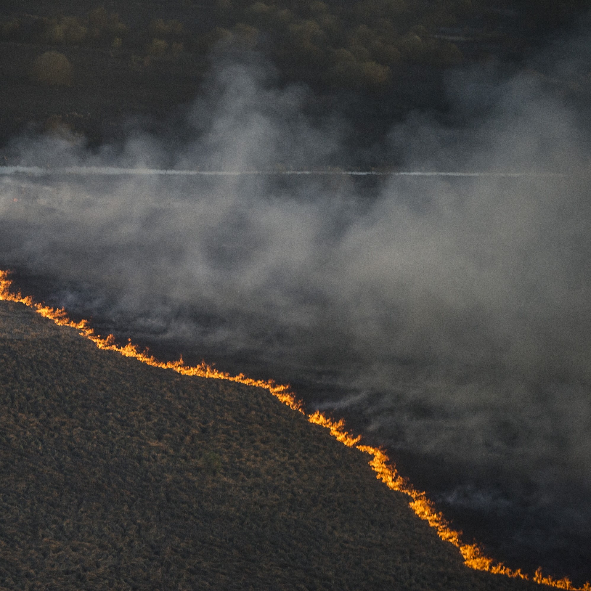 F Fire Object Detection Dataset And Pre Trained Model By Fire