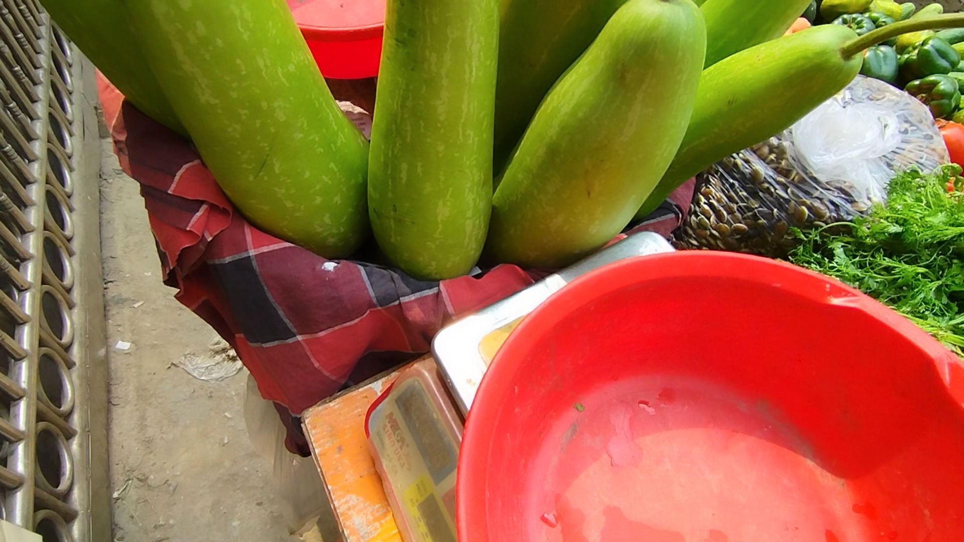 Vegetable Detection Object Detection Model V7 2025 06 10 8 51pm Used For Model Train By