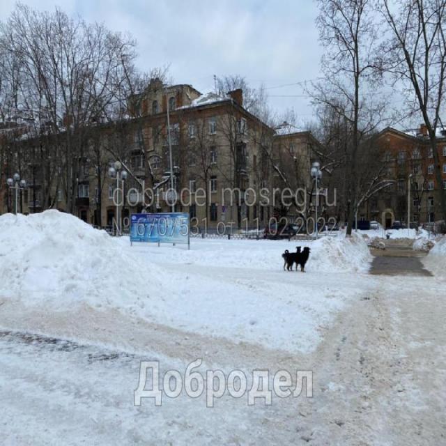 variety of dogs Object Detection Dataset and Pre-Trained Model by ...