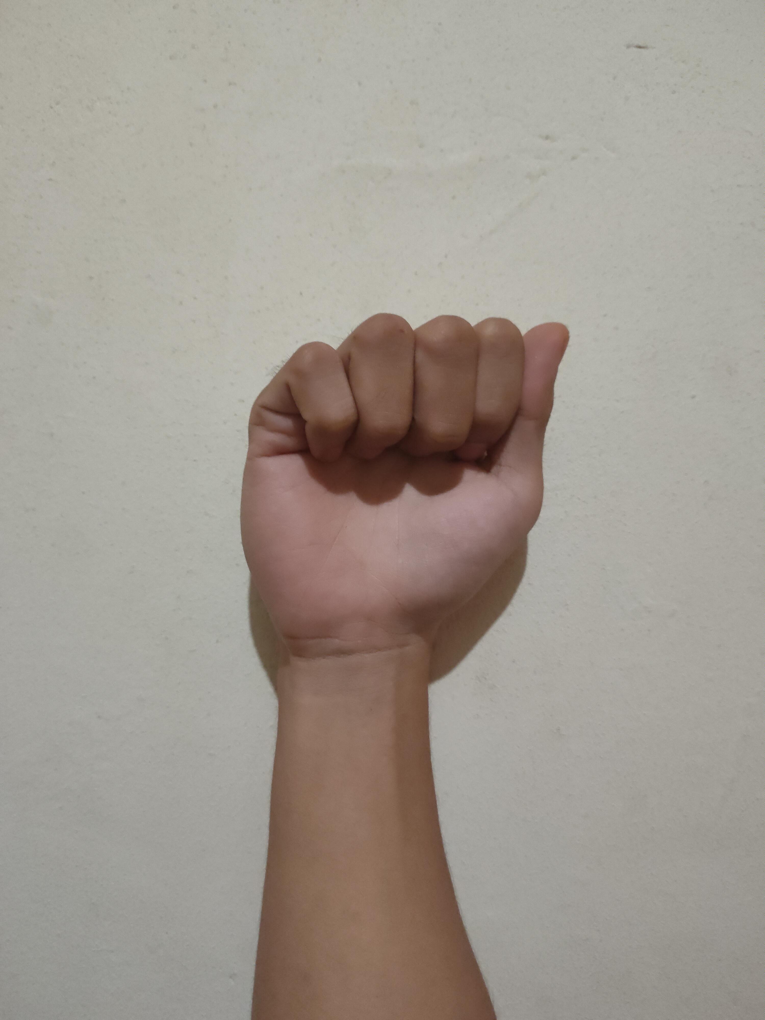 SIBI project - Roboflow Universe