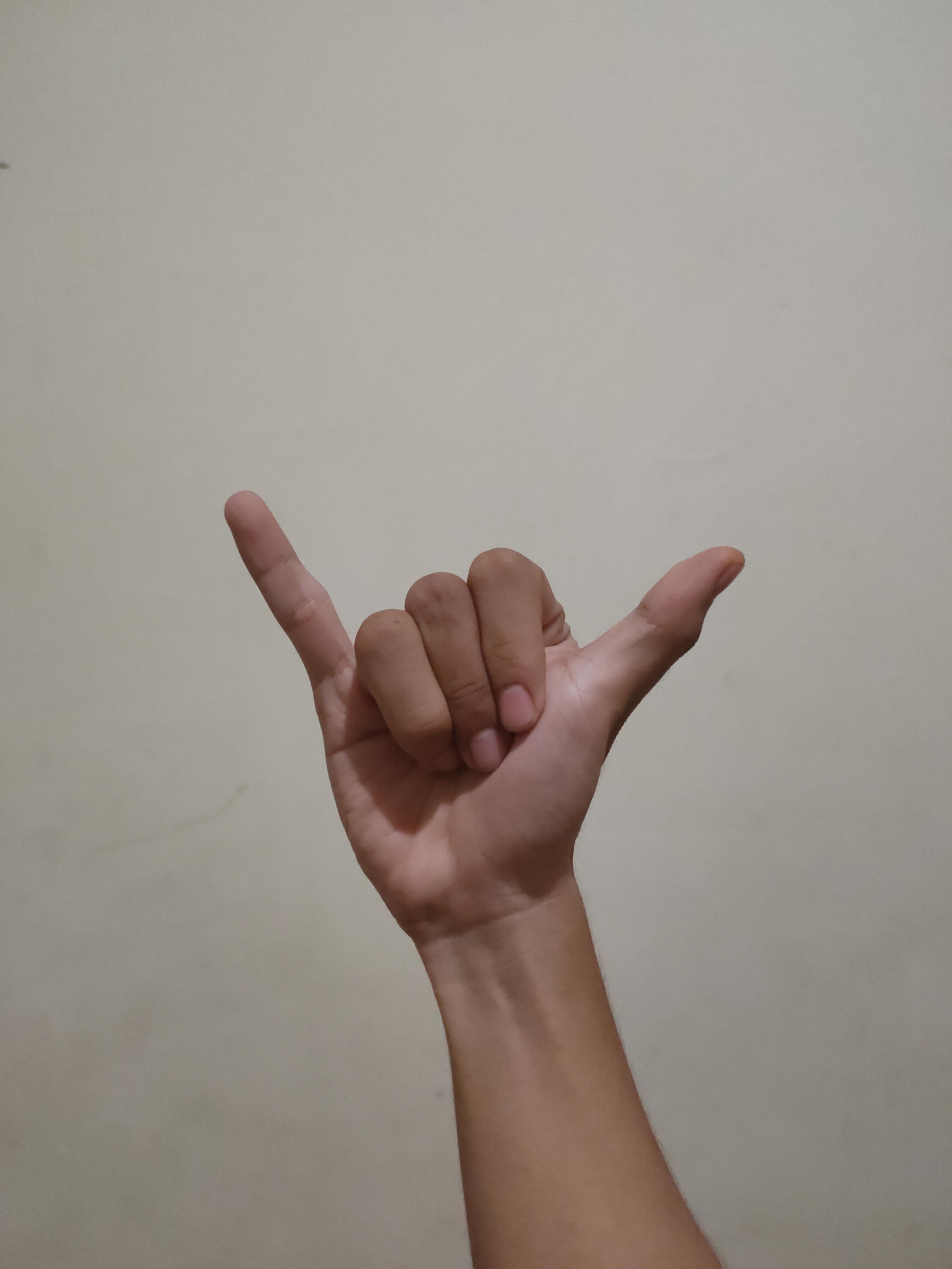 Skripsi Jabar Dataset Object Detection Dataset By Sibi Project