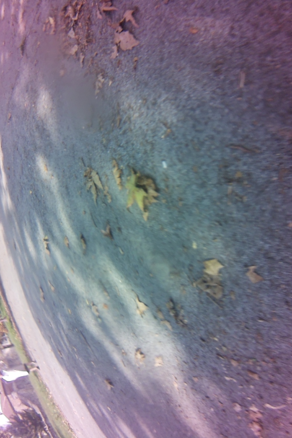 Proba Object Detection Dataset By Robot