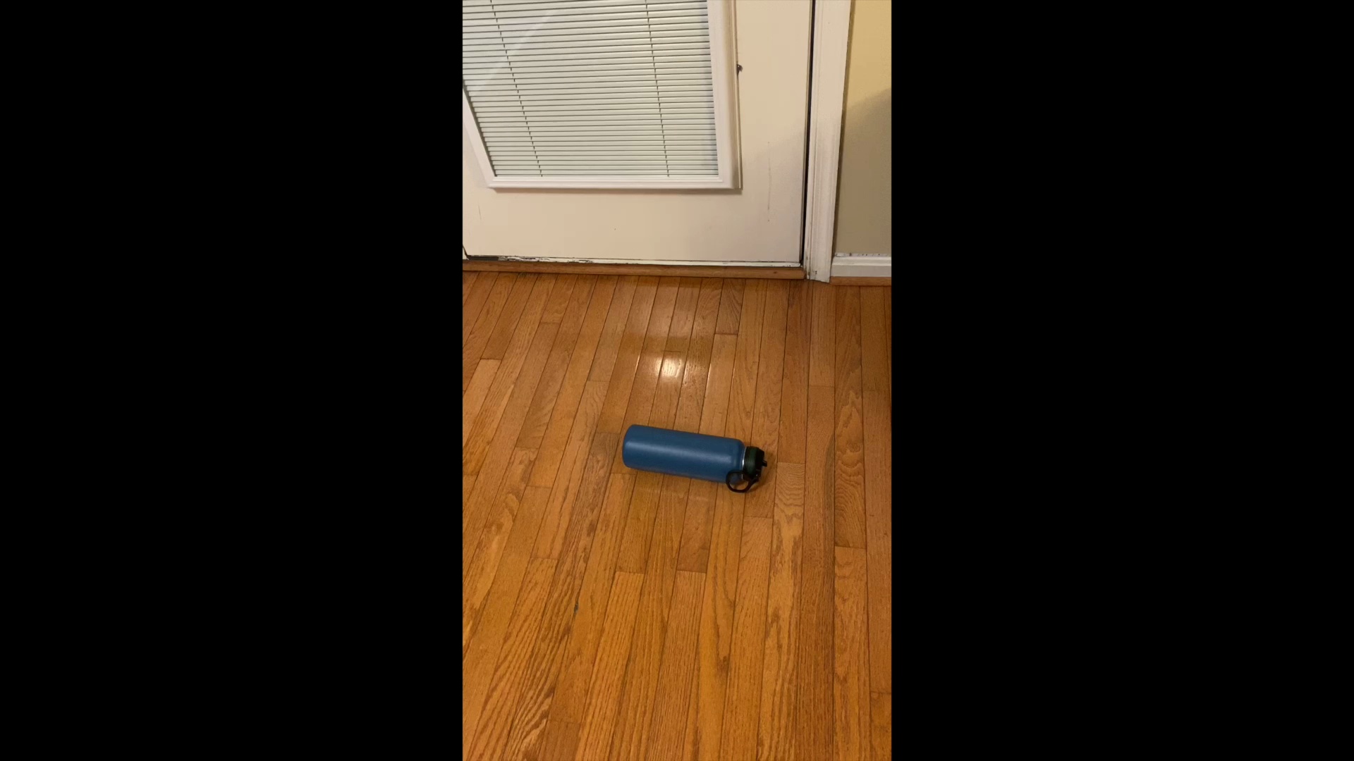 Robotic Dog Detection Object Detection Dataset and Pre-Trained Model by Cyber Warriors STEM Camp