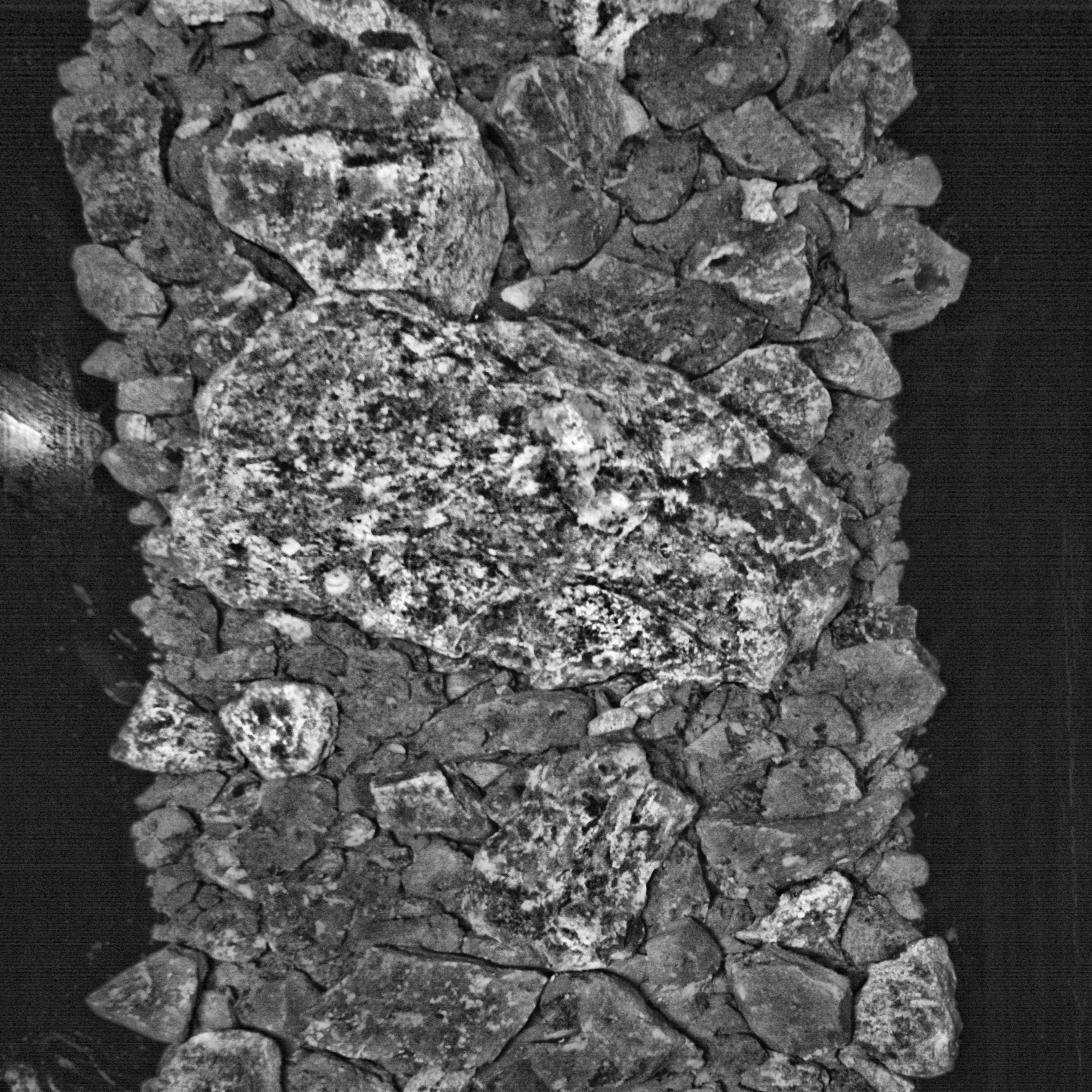 muffins Instance Segmentation Dataset by Cups