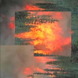 forest fire Object Detection Model by object detection