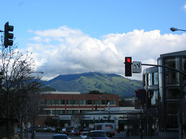 YOLO_CUSTOM_BUS Object Detection Dataset by project