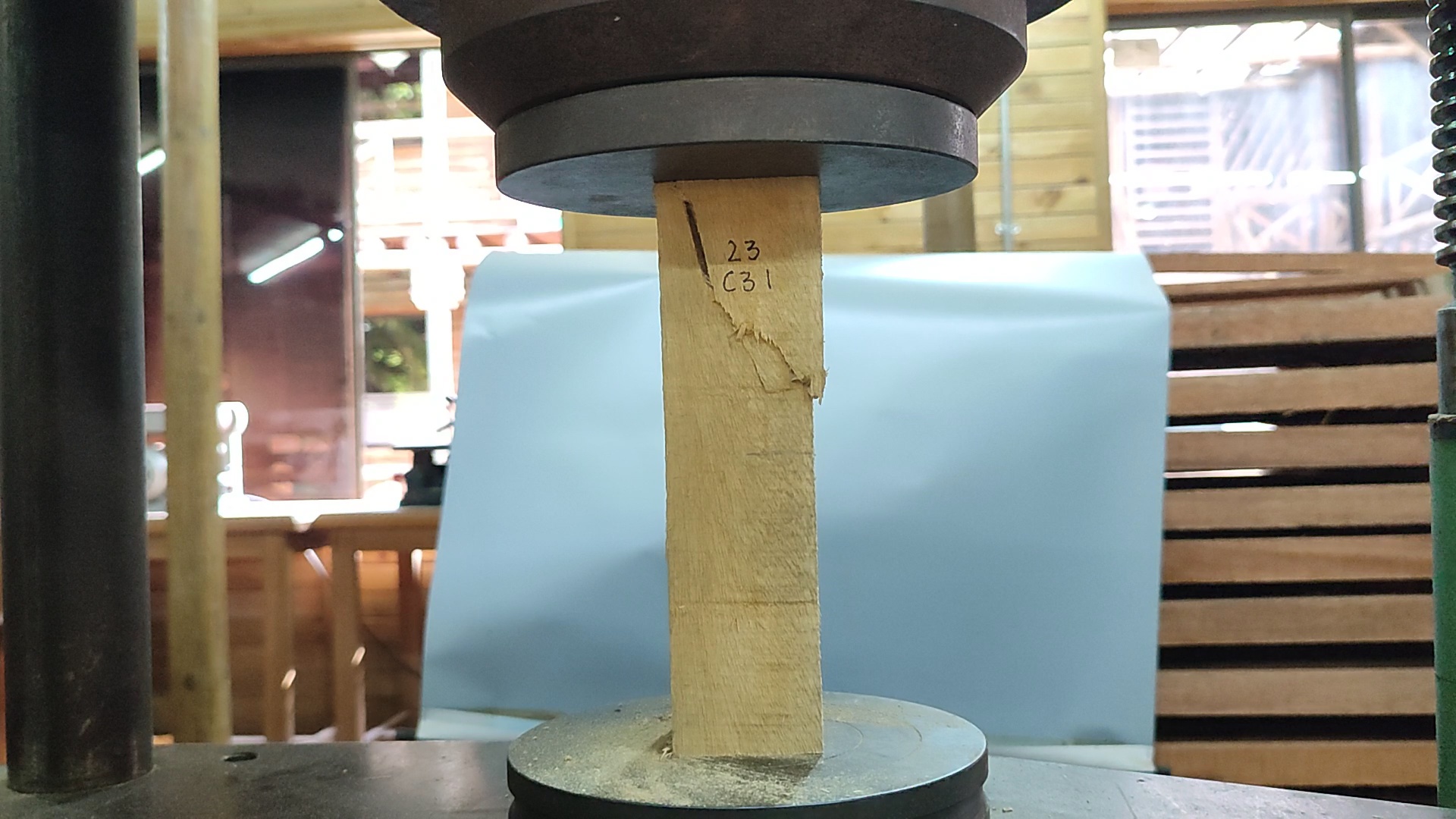 compress_parallel Instance Segmentation Model by Jedi