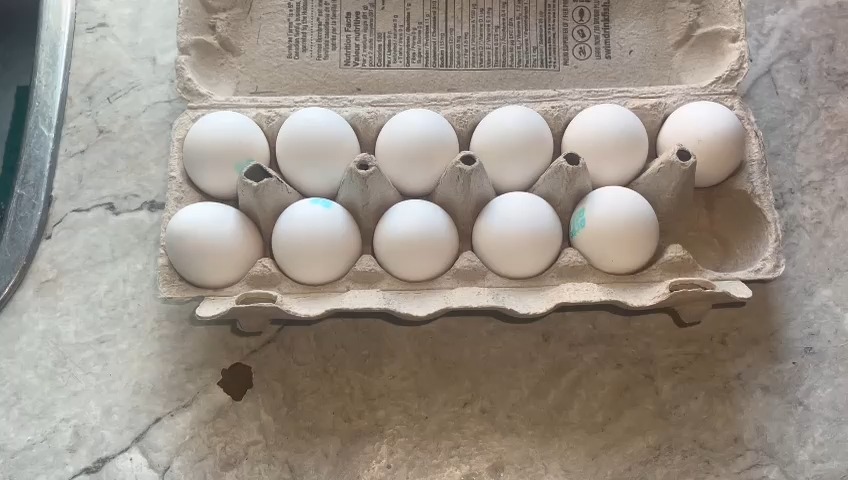 eggs countingg Object Detection Dataset by yolov10