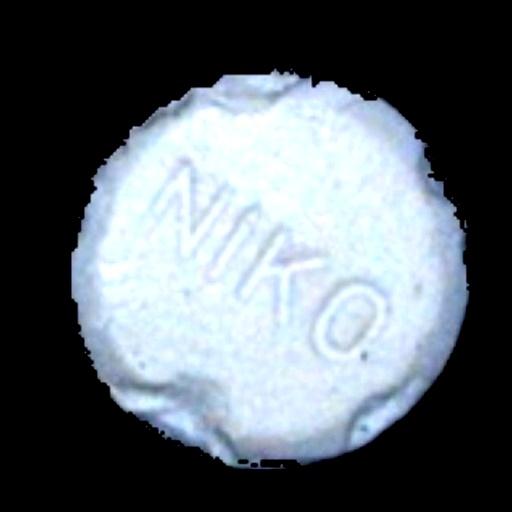 Niko_segment Instance Segmentation Dataset by Spider Man