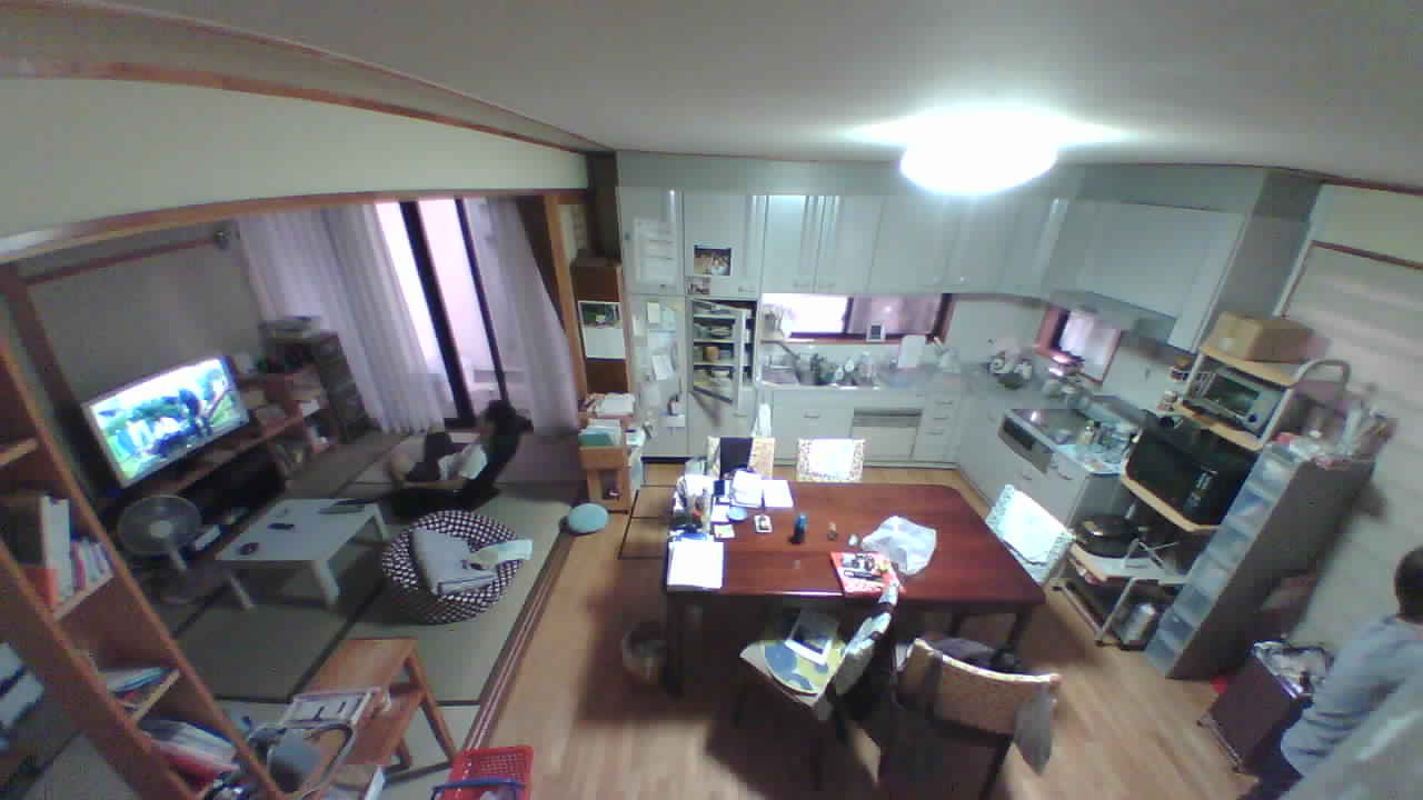 cat B3 - Roboflow Universe