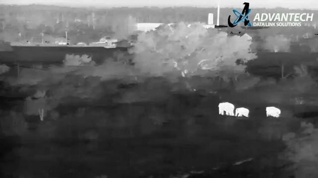 Thermal Object Detection Dataset By Dharani Hariharan