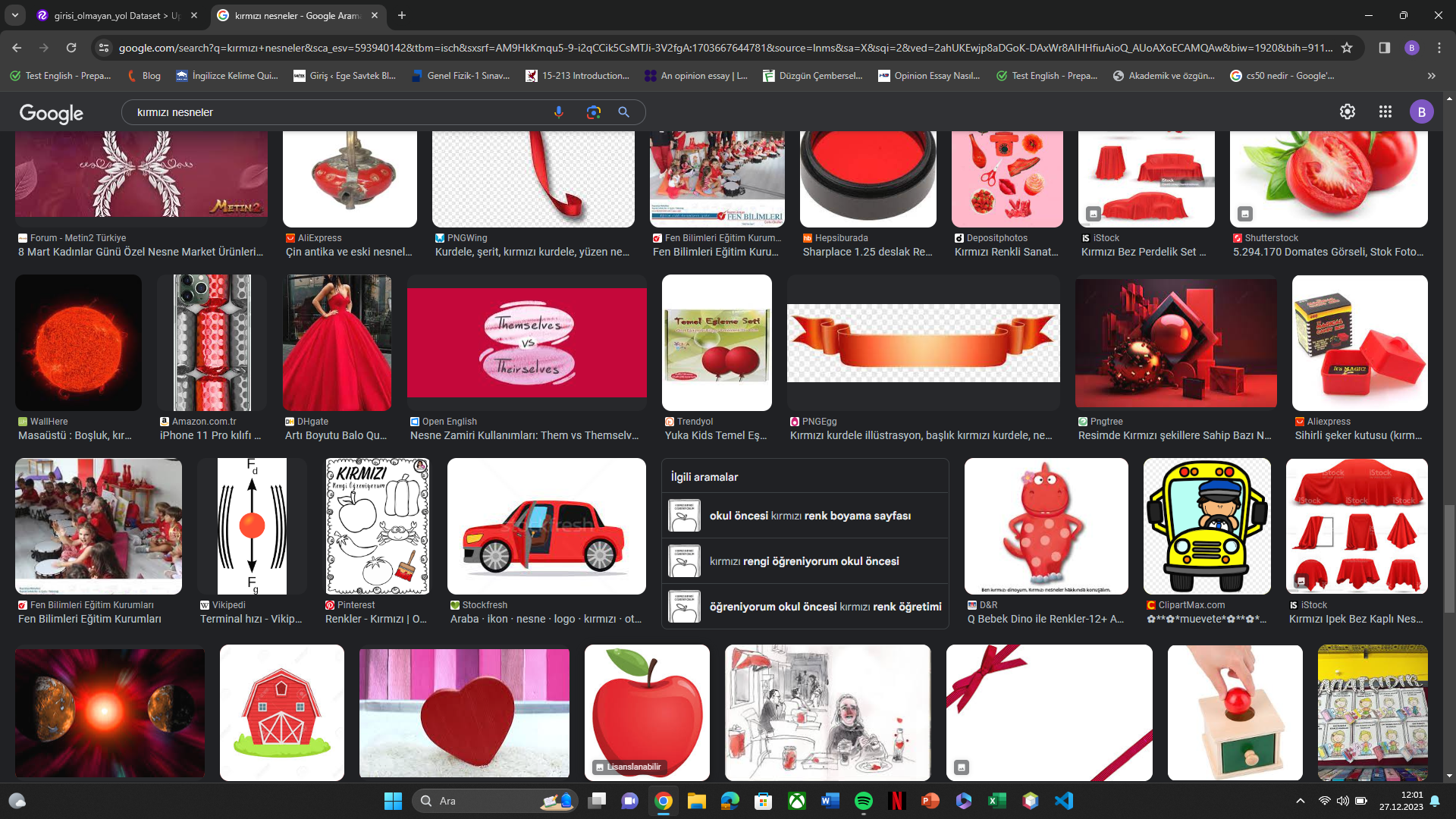 girisi_olmayan_yol Object Detection Dataset by Beyza Arkan