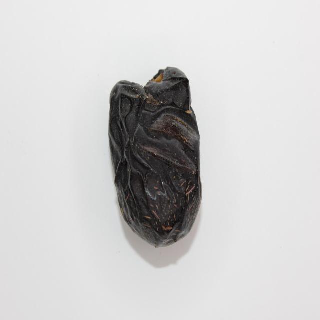 detection_date_frute_las Object Detection Model by jo